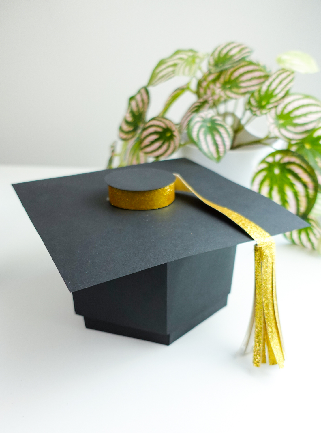 Cricut Graduation Box with Free 3D SVG File